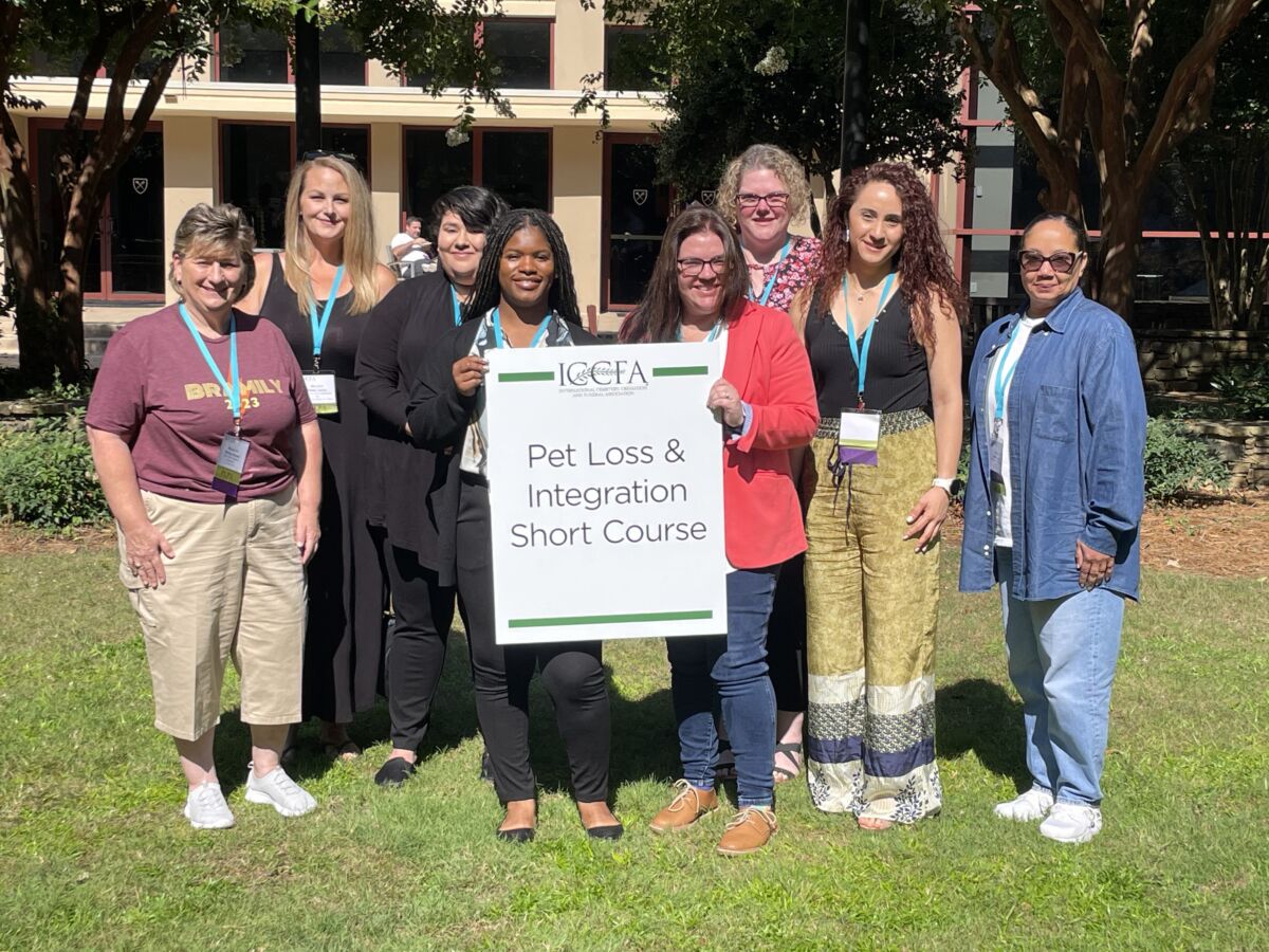 ICCFA University - ICCFA