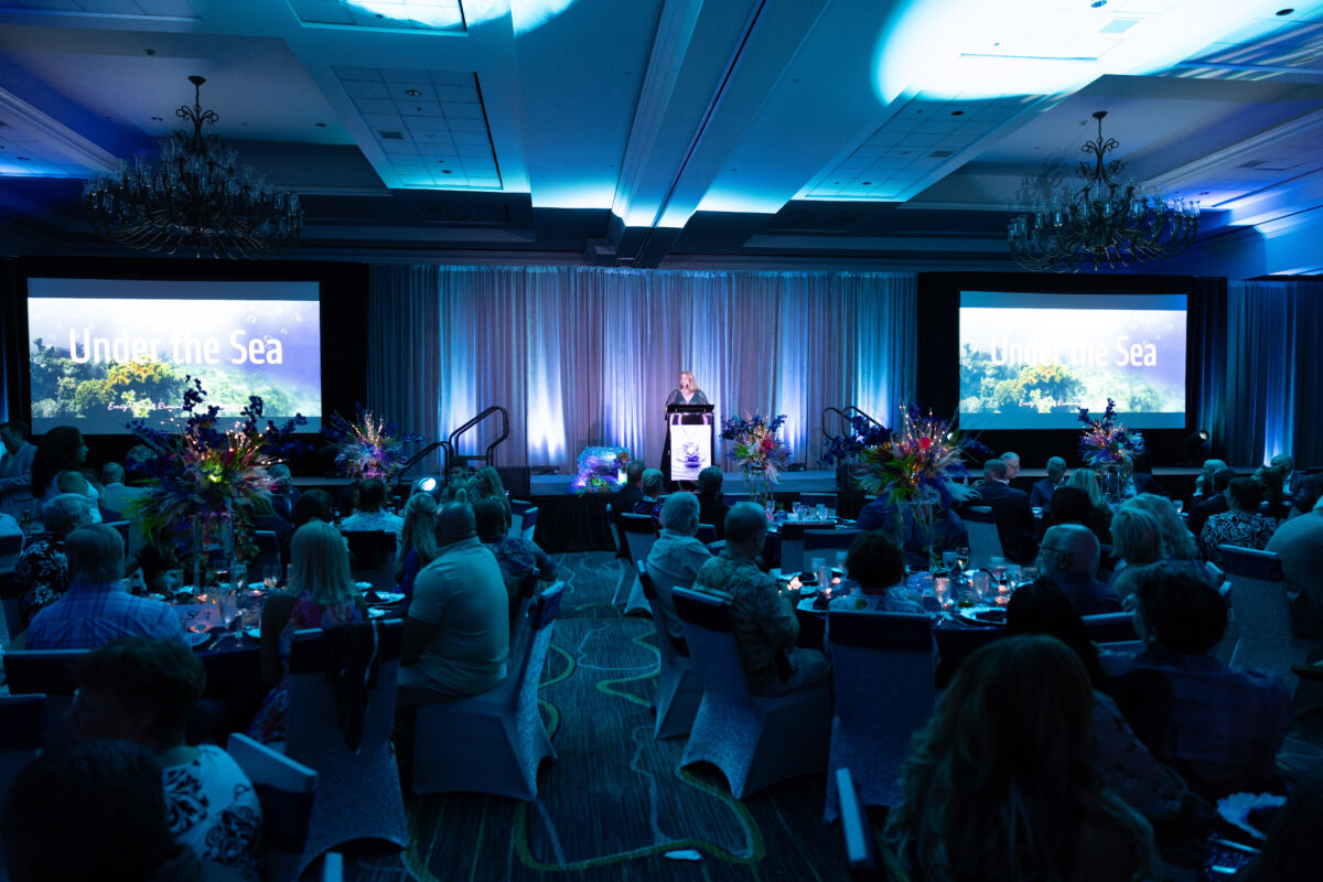 ICCFA Experience - ICCFA